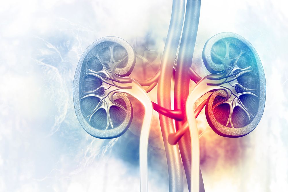 The Pathology Test - Electrolytes, urea and creatinine